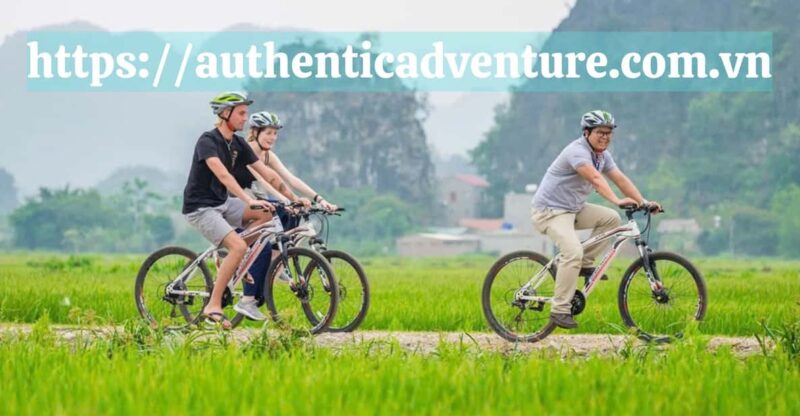 18-Day Vietnam Itinerary: Explore North to South Highlights - Practical Tips for Travelers