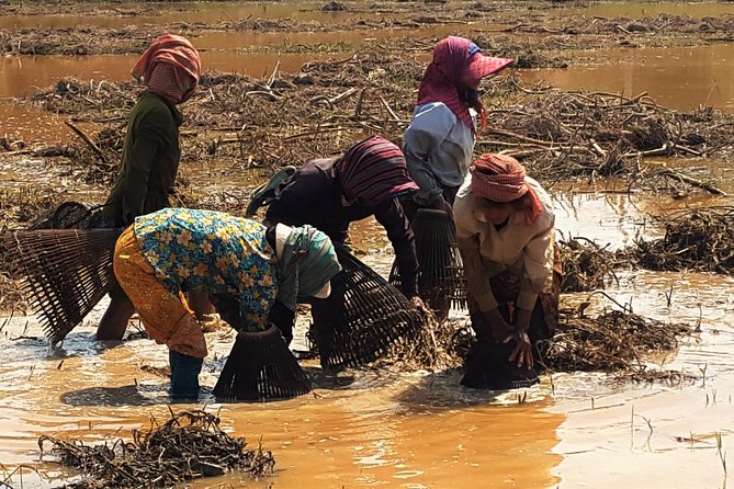 1day Private tour, Angkor sunrise,all main temples, Banteay srei - What Do Travelers Say?