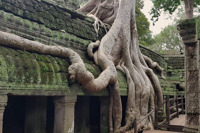 1day Private tour, Angkor sunrise,all main temples, Banteay srei - Who Is This Tour Best For?