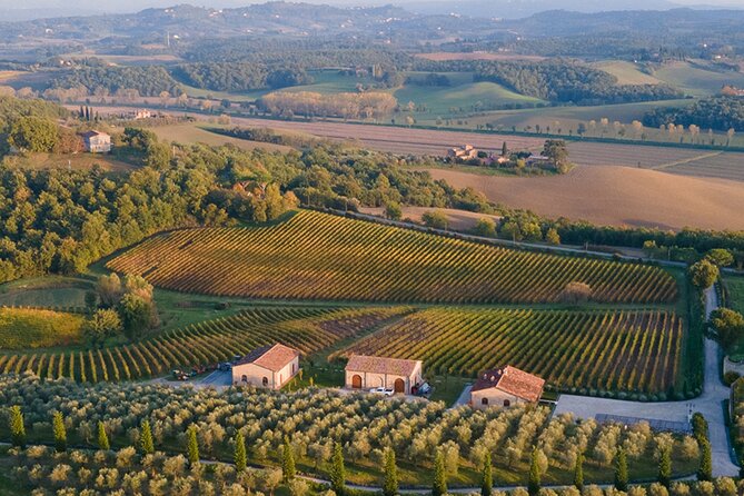 1h30m Wine Tasting and Visit to Val DOrcia - Key Points