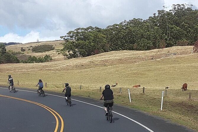 1pm Haleakala Unguided Downhill Tour - The Sum Up: Who’s the Ideal Candidate?