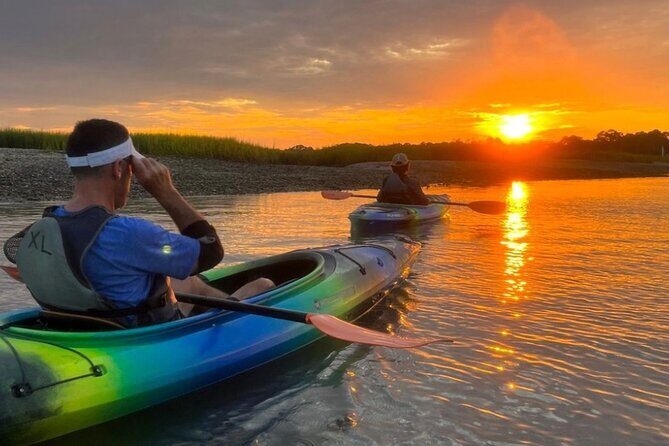 2 1/4 Hour Private Kayak Hilton Head Dolphin Nature Experience - The Experience Itself: A Closer Look