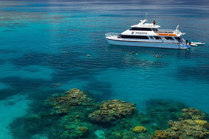 2 1/4 hr Low Isles Reef Sprinter Snorkeling Tour-No Island Access - Price and Value