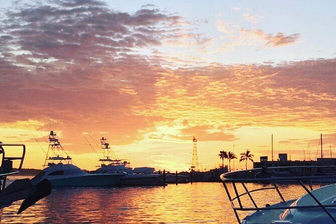 2.10 Hour Sunset Tour on Catamaran in Cabo San Lucas - Final Words
