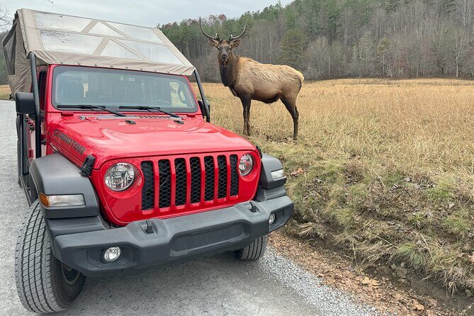 2.5-3 hour Smoky Mountain Cherokee Blue Ridge Parkway Safari tour - FAQ