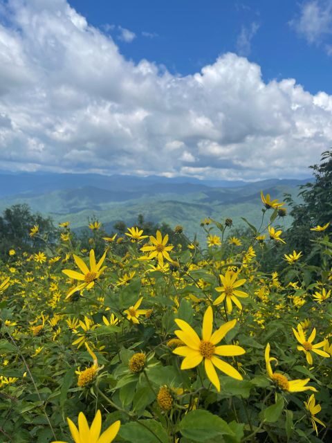 2.5-3 HR Maggie Valley: Guided Scenic UTV Adventure - FAQ