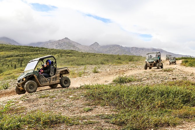 2.5-Hour Denali Wilderness ATV Adventure Tour - The Ride and Terrain