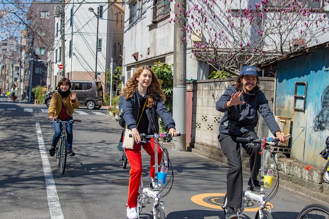 2.5 Hour-Guided Cycle Tour in the Central Tokyo - Booking Details