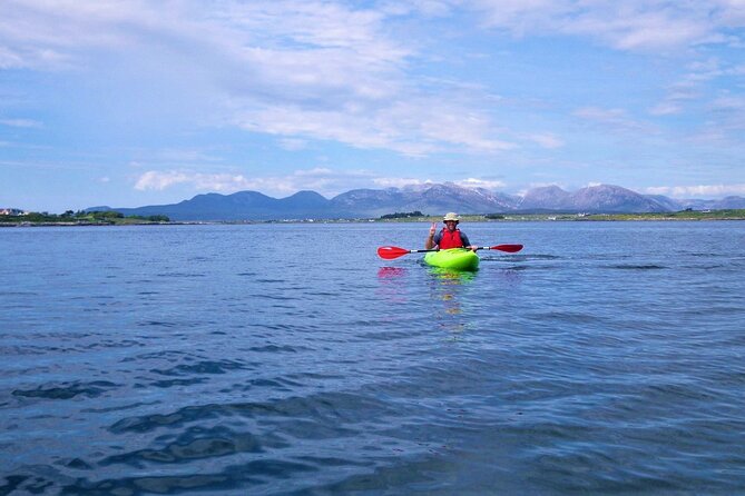 2.5 Hour Guided Sea Kayaking in Roundstone Bay - What to Expect from the Roundstone Bay Kayaking Tour