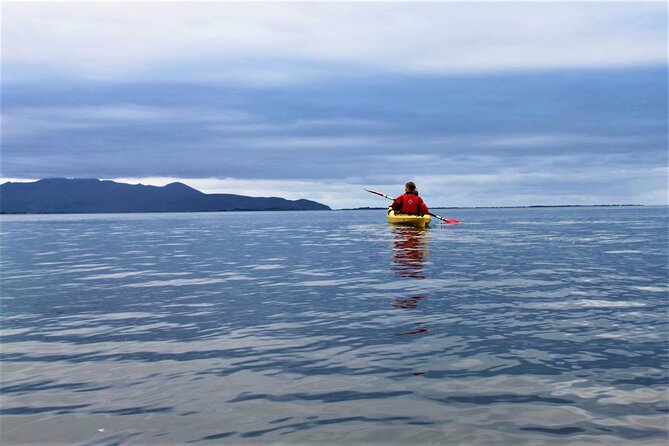 2.5 Hour Guided Sea Kayaking in Roundstone Bay - The Sum Up