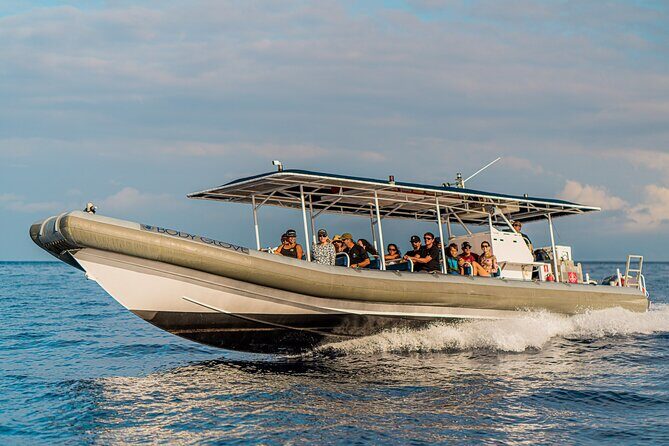 2.5-Hour Whale Watching On A 41' Super-Raft - The Experience in Detail