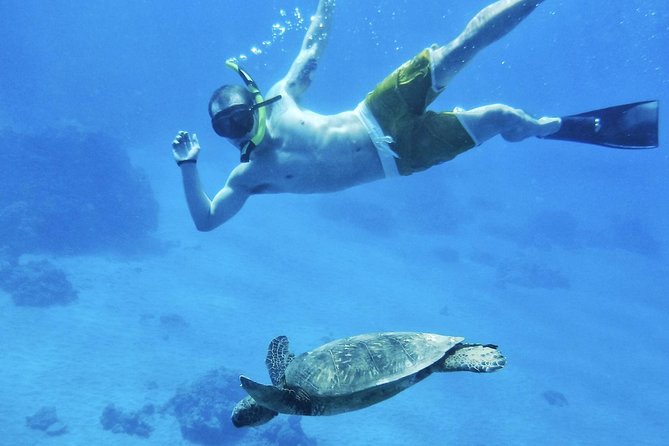 2.5 Hour Xpress Snorkel From Ka'Anapali Beach - Tour Details and Inclusions