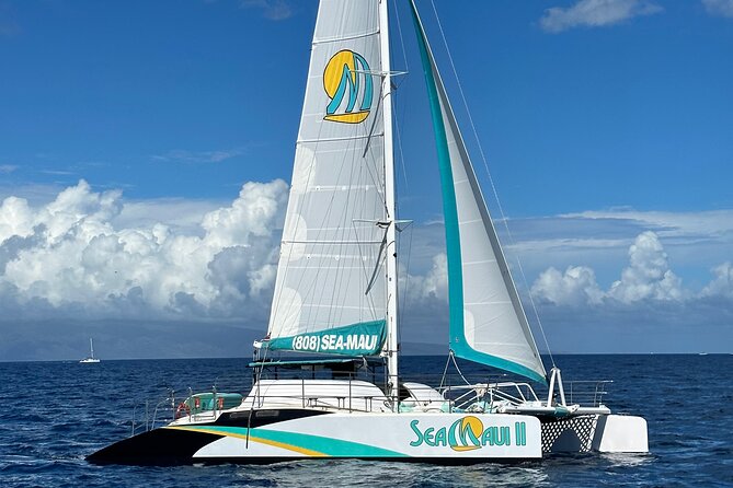 2.5 Hour Xpress Snorkel From Ka'Anapali Beach - Highlights of the Snorkel Experience