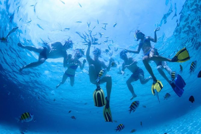 2.5 Hour Xpress Snorkel From Ka'Anapali Beach - What to Expect During the Trip