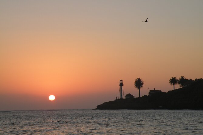 2.5 Hours of Fun: Catamaran Sunset Sail - Additional Information