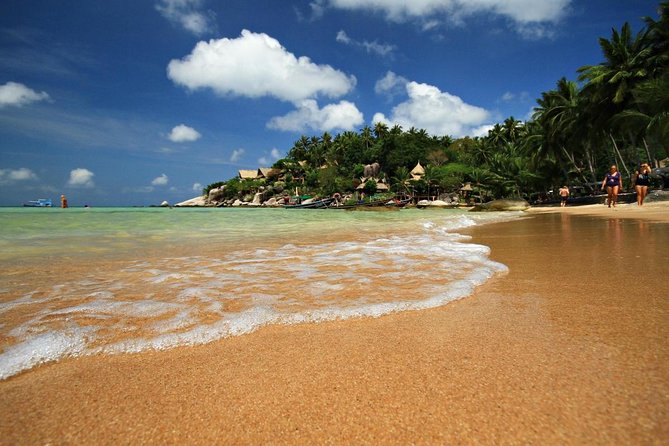 2.5 hours Pig Island-Virgin Islands & Snorkeling Jet Ski Safari - Key Points