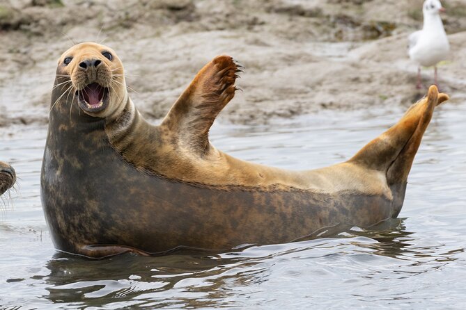 2.5 Hours SightSeeing Tour in Beaulieu River - Onboard Amenities