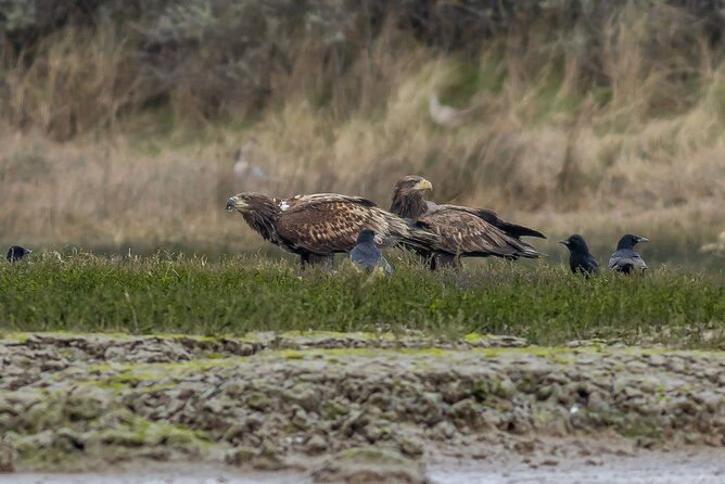 2.5 Hours SightSeeing Tour in Beaulieu River - Discover the Beaulieu River