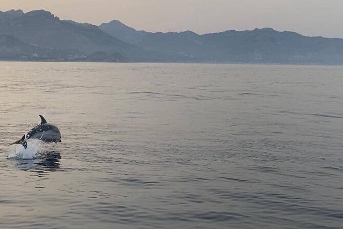 2.5 Hours Sunset Boat Tour Review - Crew Professionalism and Flexibility