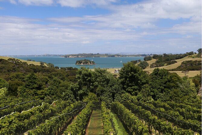 2.5 Hours Wine Tour in Waiheke Island for Cruise Ship Travelers - What Makes This Tour Stand Out?