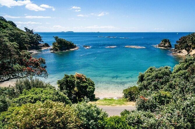 2.5 Hours Wine Tour in Waiheke Island for Cruise Ship Travelers - Practical Details and Tips