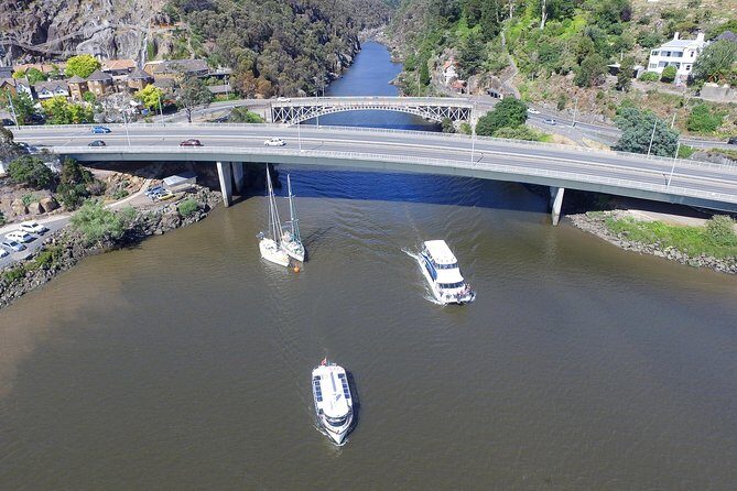 2.50 hour Afternoon Discovery Cruise including Cataract Gorge departing at 3 pm - An In-Depth Look at the Experience
