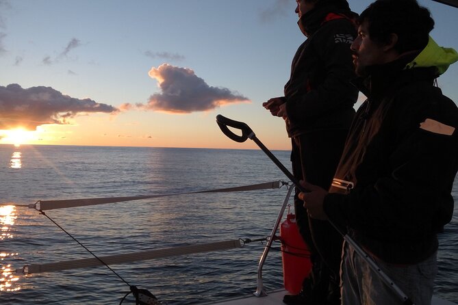 2.5h Sunset Navigation With Azorean Appetizers and Wine - Navigating the Azorean Waters