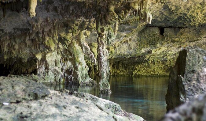 2 cenote divings (including one deep diving) for advanced divers in Tulum - Key Points