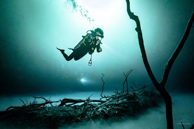 2 cenote divings (including one deep diving) for advanced divers in Tulum - Why This Cenote Tour Is Worth Considering