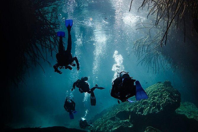 2 cenote divings (including one deep diving) for advanced divers in Tulum - Authentic Experiences & Reviews