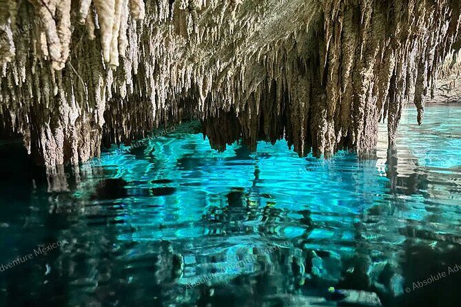 2 Cenotes Private Tour  VIP Adventure with Expert Guide - Exploring the Itinerary — What to Expect