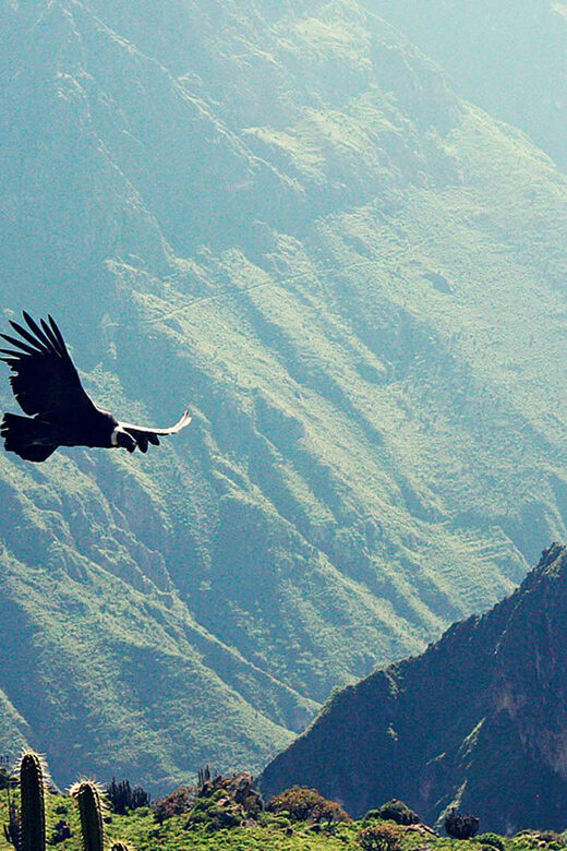 2 day 1 night trek / Colca Canyon - Who Is This Tour Best For?