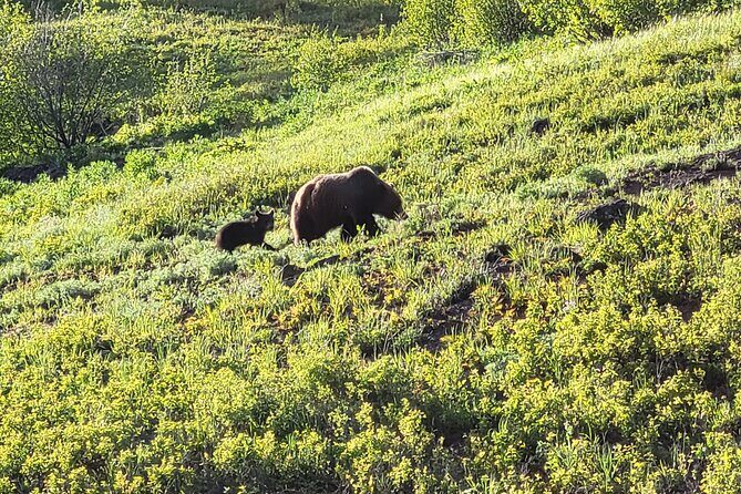2 Day 1 Night Yellowstone with Expert Guide - Who This Tour Is Best For