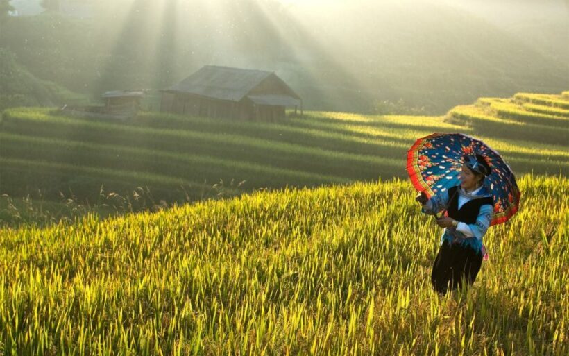 2 Day-2 Night Sapa Trekking: Overnight Train &Limousine Bus - Key Points