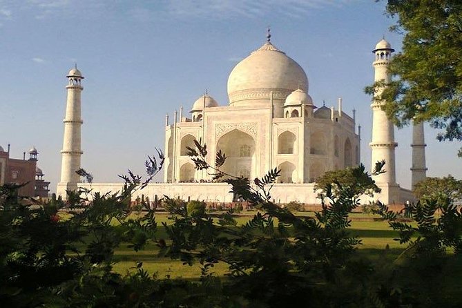 2-Day Agra Fort and Taj Mahal Guided Tour from Delhi Airport - What Reviewers Say