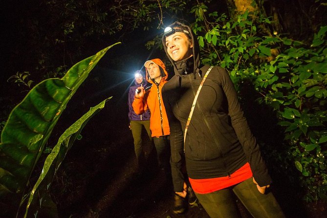 2-Day All Inclusive Guided Jungle Tour From Iquitos at Maniti Eco-Lodge - Planning Your Visit