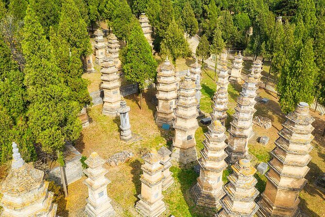 2-Day Amazing Luoyang and Xi'an Private Tour including Bullet Train - Who Will Enjoy This Tour?