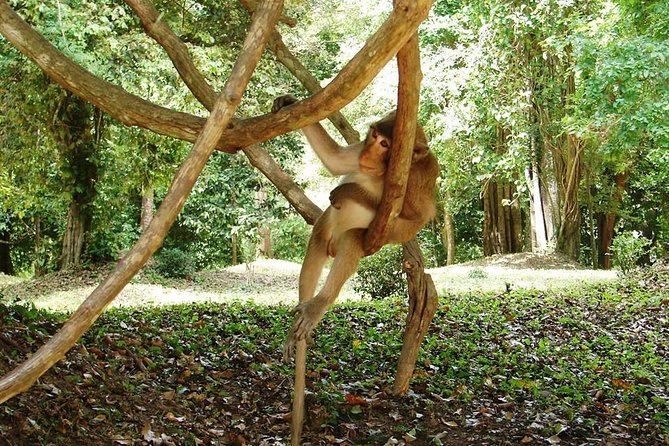 2-Day Angkor Wat Tour from Bangkok - Who Is This Tour Best For?