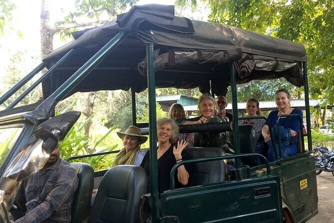 2 Day Bandipur Safari and Mysore Palace Tour - Authenticity and Traveler Experiences