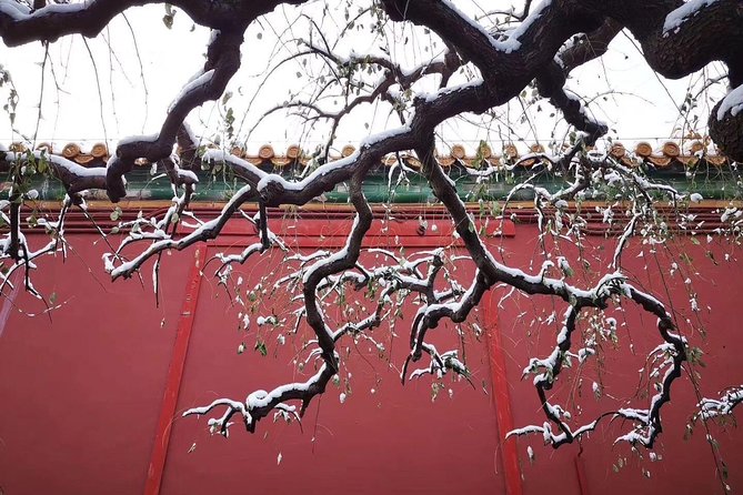 2-Day Beijing Sightseeing Highlights Combo Package with Lunch - What Travelers Say & What It Means for You