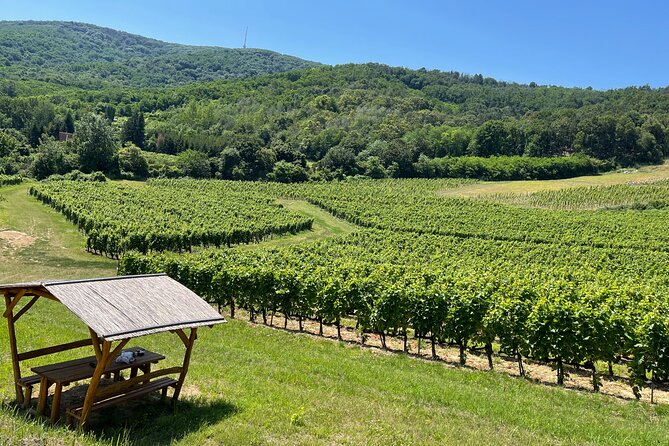 2 day Boat Trip and City Tour in Tokaj Hungary with Wine Tasting - Exploring the Charm of the Tokaj Region in Two Days