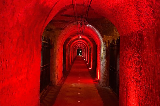 2-day Burgundy 4 Domains, Champagne Moet, Veuve Clicquot Private - Introduction