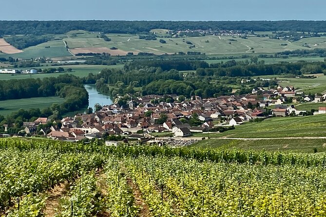2-day Burgundy 4 Domains, Champagne Moet, Veuve Clicquot Private - FAQ