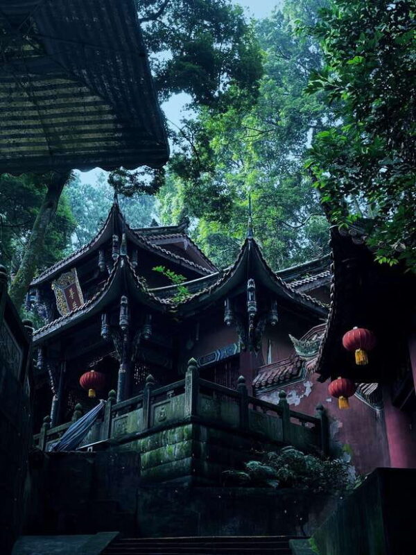 2-Day Chengdu & Mount Qingcheng Heritage Tour - What to Expect: Logistics and Experience
