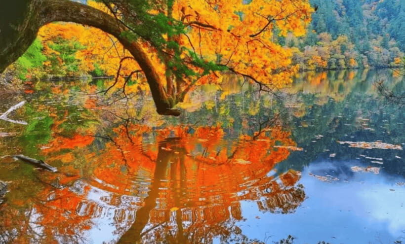 2 Day Chengdu to Jiuzhaigou&Huanglong Self-Guided w/Transfer - FAQ