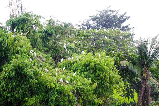 2-Day Cu Chi Tunnels & Mekong Delta - Cai Rang Floating Market - Practical Tips for Travelers