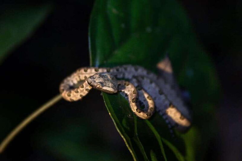 2-Day Cuc Phuong National Park Private Tour From Ha Noi - Key Points