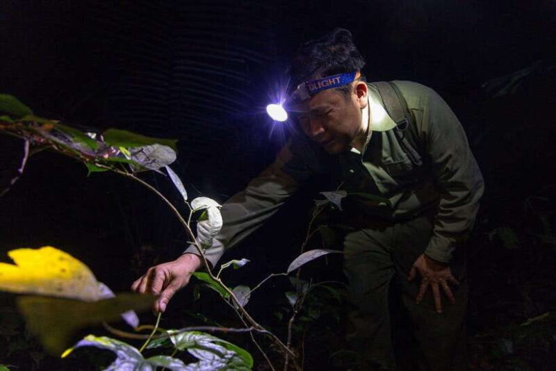 2-Day Cuc Phuong National Park Private Tour From Ha Noi - Day 1: From Hanoi to the Heart of Nature