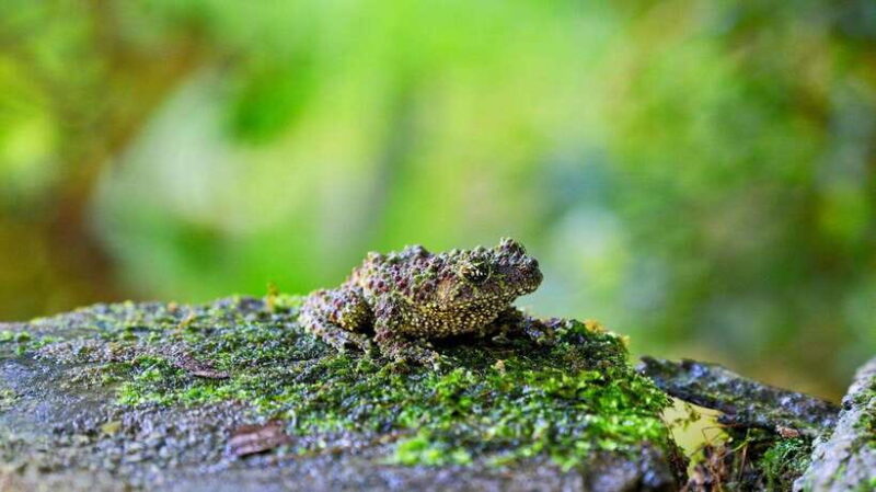 2-Day Cuc Phuong National Park Private Tour From Ha Noi - Is It Worth the Price?