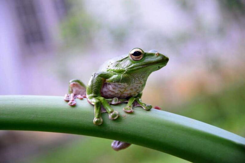 2-Day Cuc Phuong National Park Private Tour From Ha Noi - Practical Considerations